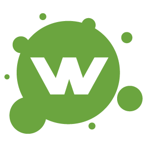 Web Connection Sankhya